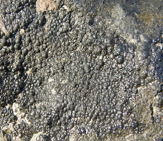 K+U Umwelttechnik und Hydrologie GmbH - Uran